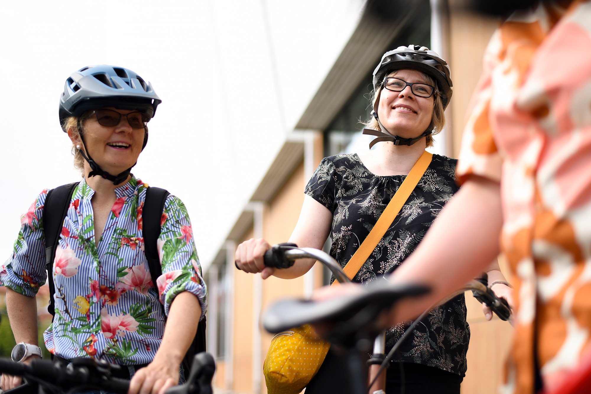 Alanvaihtajat ovat koodareina kultakimpaleita – kood/Sisussa kasvaa ...